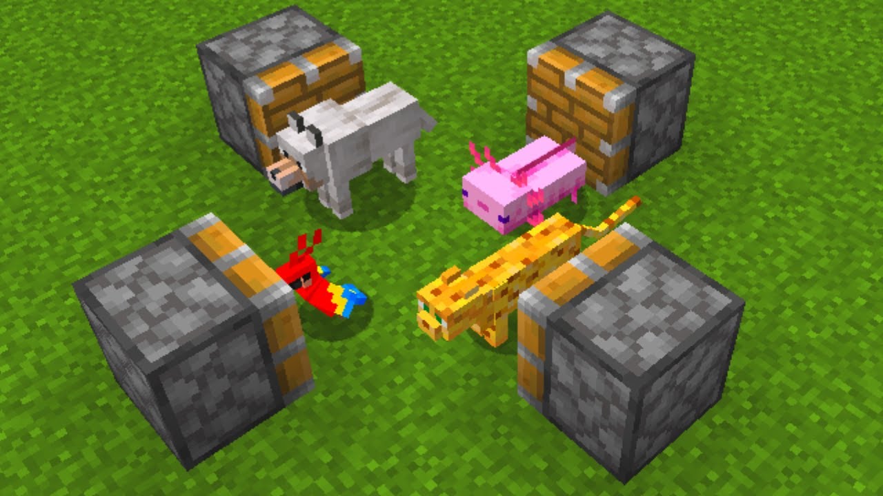 how to make new pet - YouTube