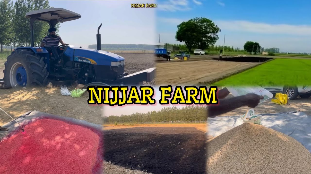 ਝੋਨੇ ਦੀ ਪਨੀਰੀ!! ਨਿੱਝਰ ਫਾਰਮ!NIJJAR FARM - YouTube