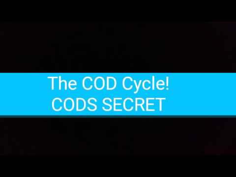 COD'S SECRET! COD CYCLE! REVEALED?!?!?! - YouTube