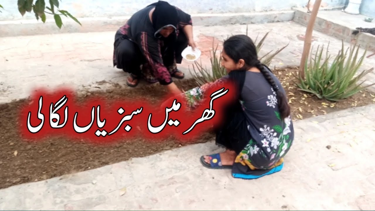 Ghar ma Sabziya laga li||Sobia Waseem - YouTube