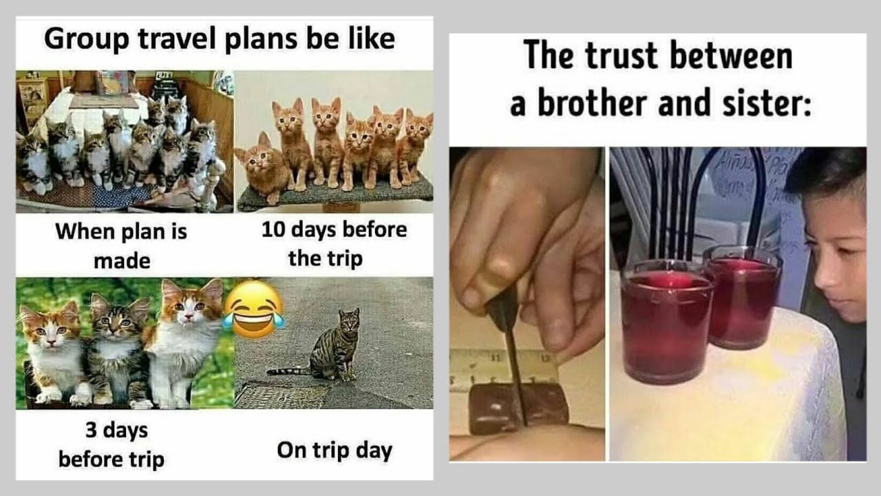 Funny Memes 😂 Hilarious Memes 🤓 That will make you laugh 🤣 - YouTube