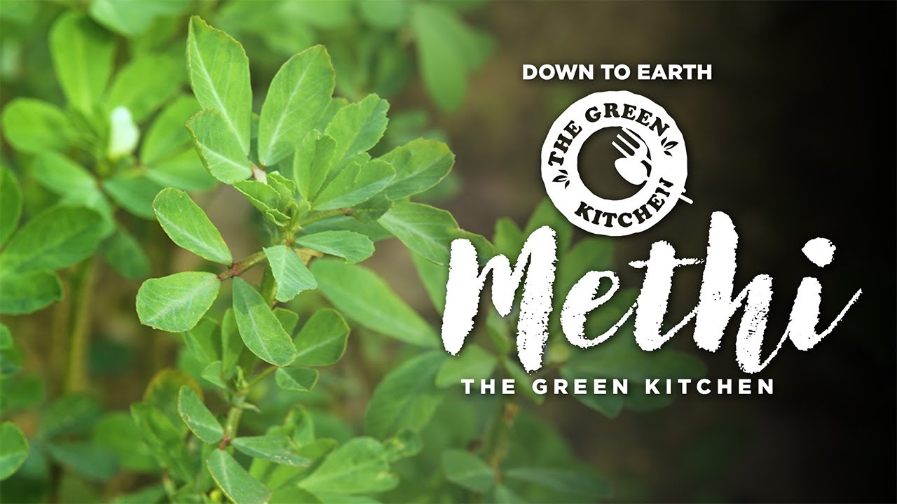 Why is the mighty Methi called the powerhouse of nutrition? | The Green ...
