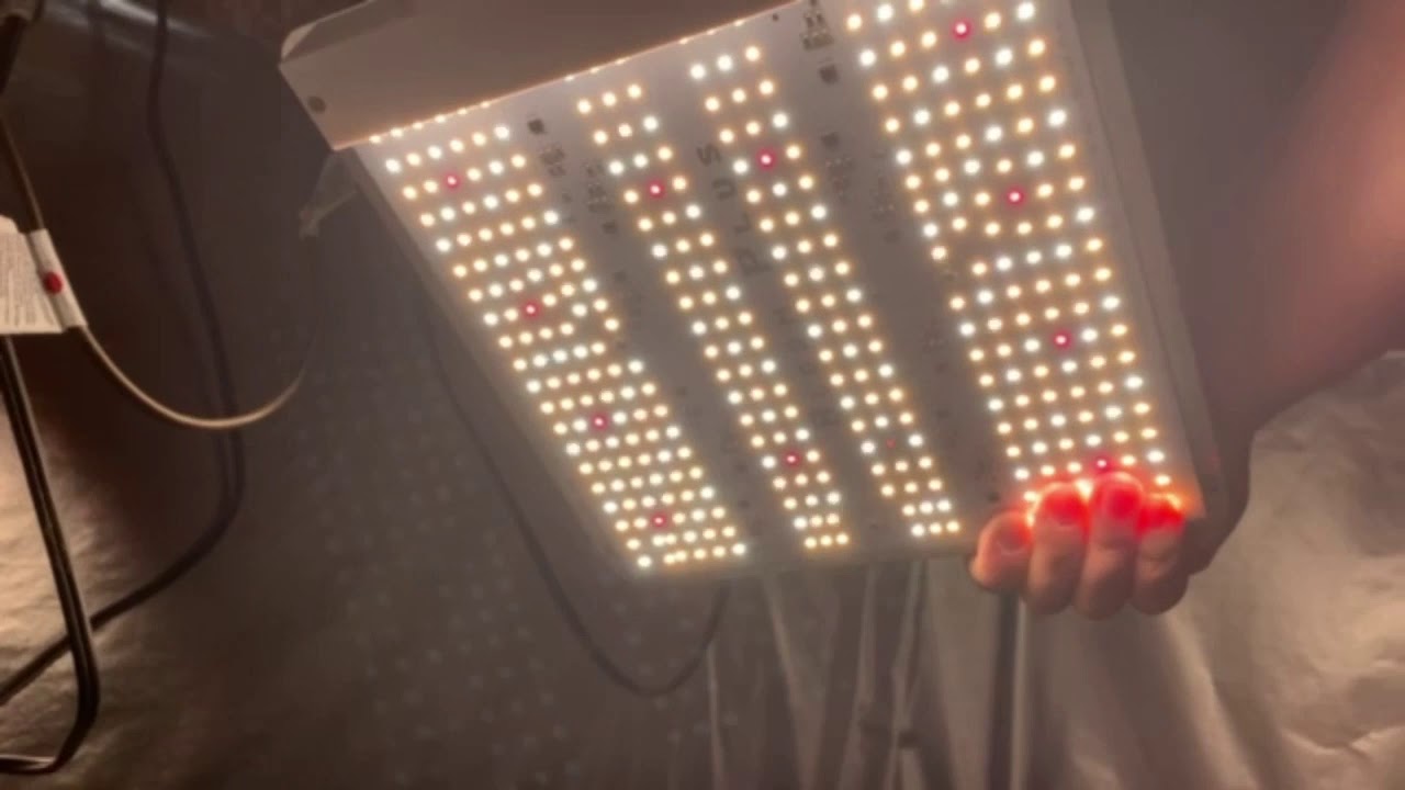 Bloom plus Bp1000 Unboxing & harvest totals! - YouTube