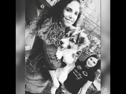 Sezen Aksu - Kaybolan Yıllar 💕🎵⚘🐦