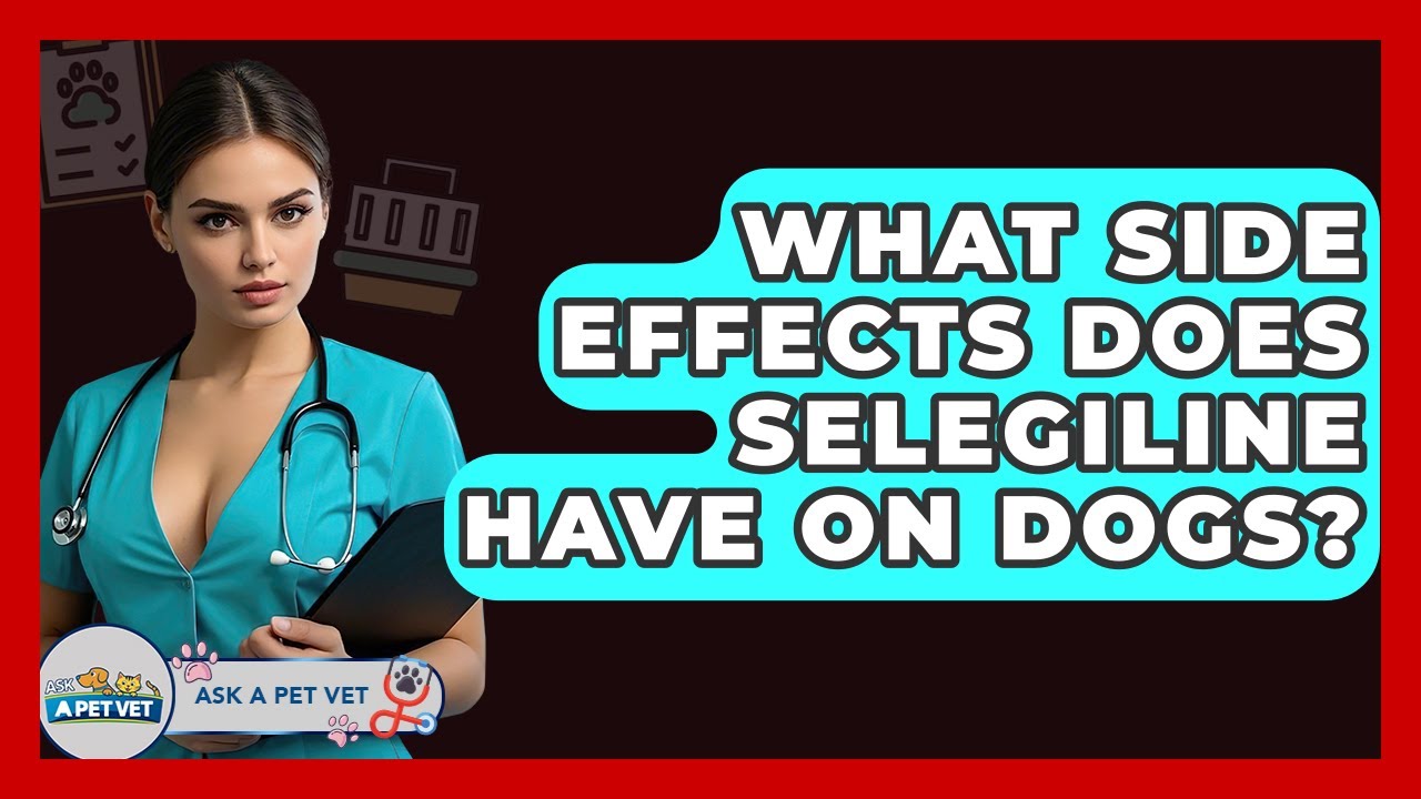 What Side Effects Does Selegiline Have On Dogs? - Ask A Pet Vet - YouTube