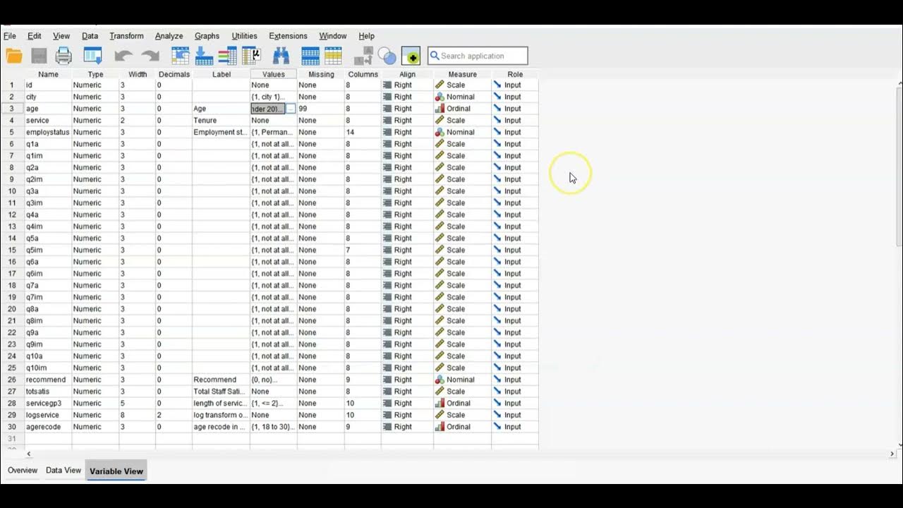 SPSS categorical vs continuous variables - YouTube