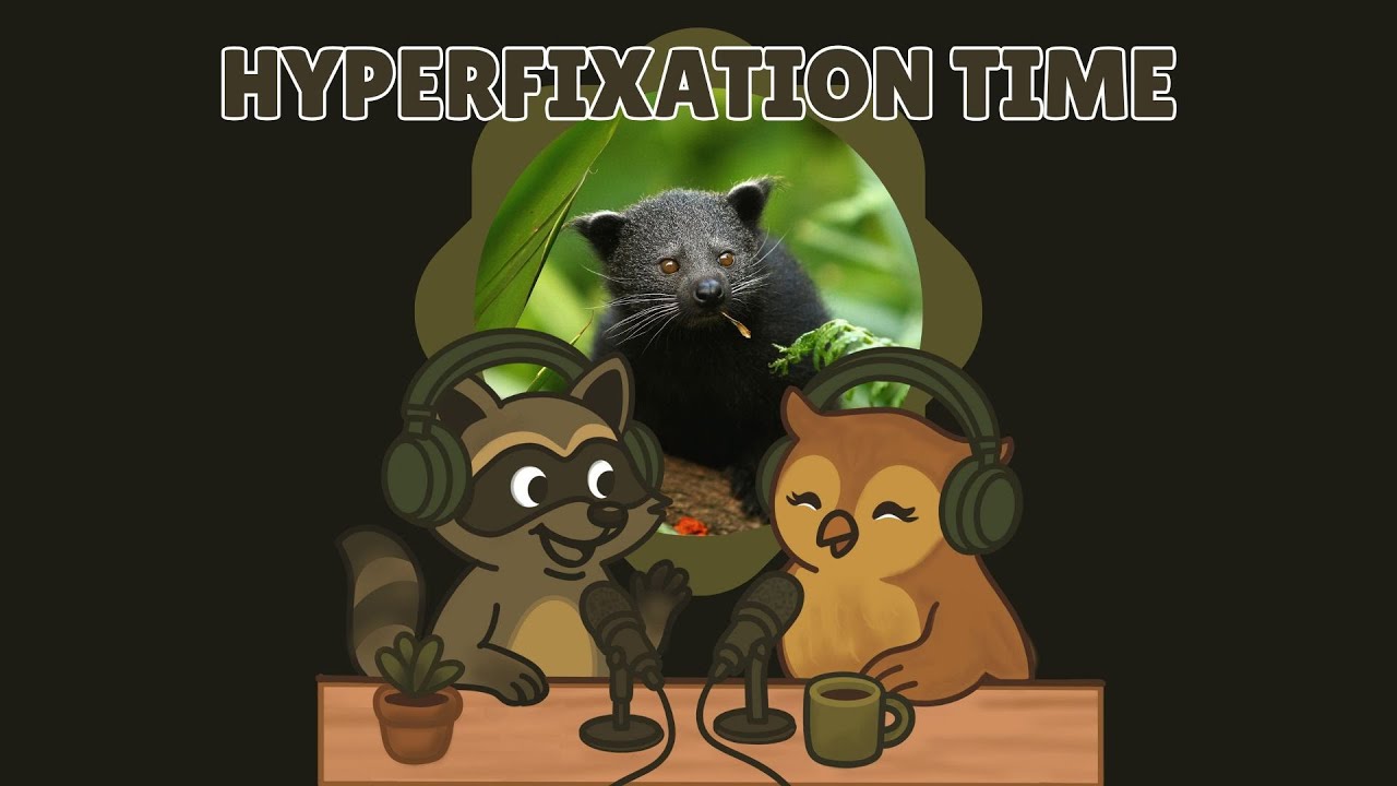 Binturong: The Popcorn-Smelling Bearcat - YouTube
