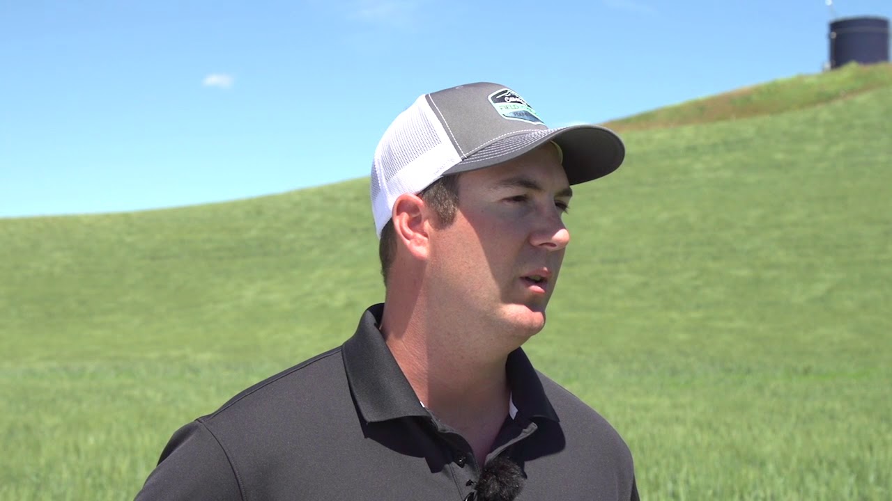 Talinor Cereals Herbicide in Walla Walla, Washington - YouTube