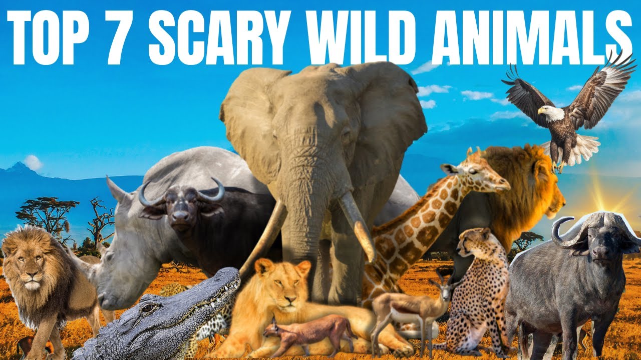 Top 7 Scary Wild Animals. - YouTube
