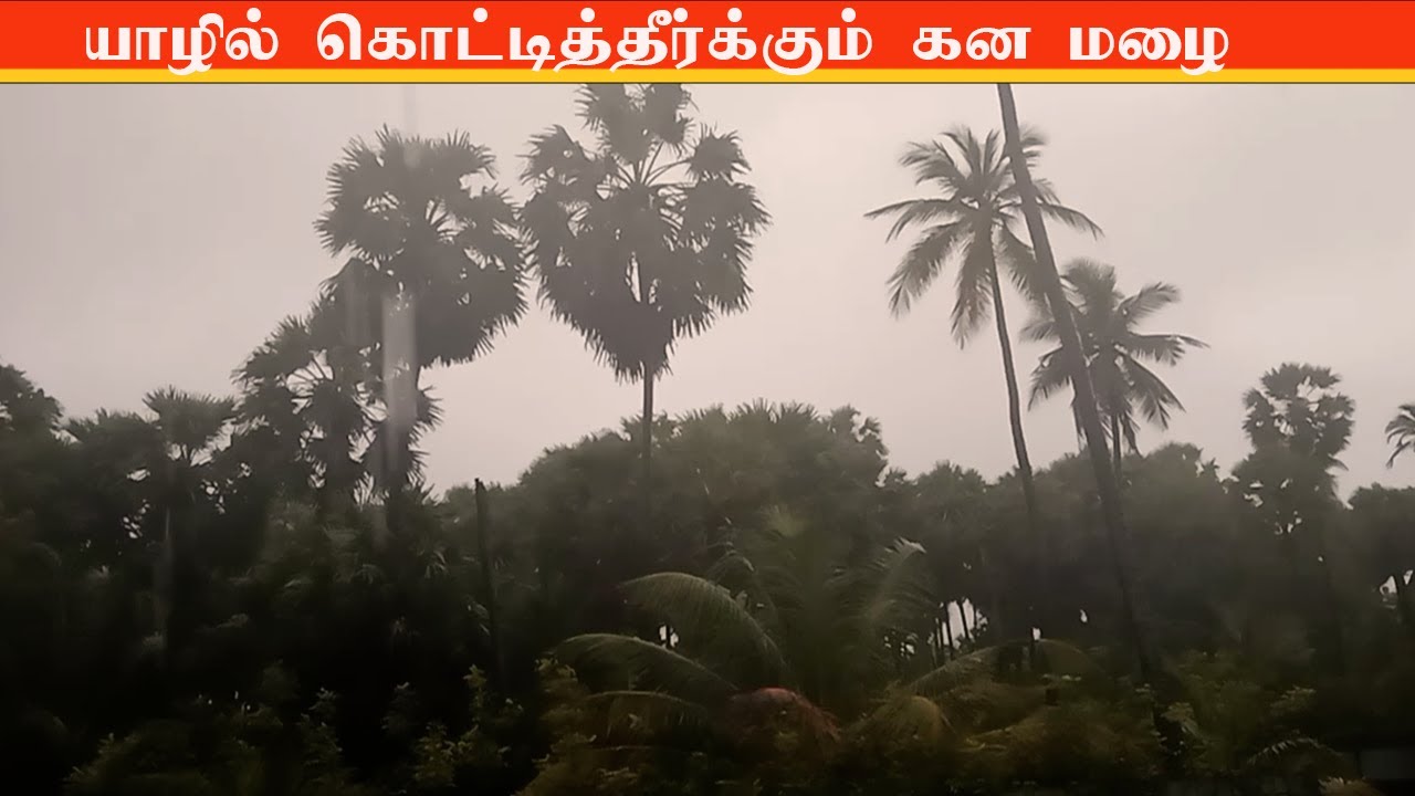 யாழில் கடும் காற்று கன மழை jaffna weather - YouTube