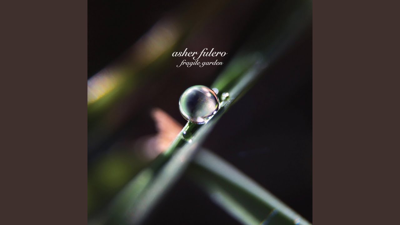 Shallow Roots - YouTube