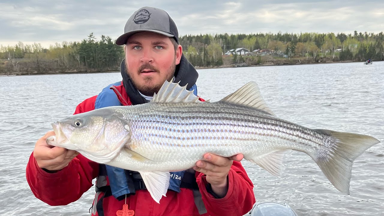 Miramichi fishing trip with goprofishdude! Monsters! - YouTube