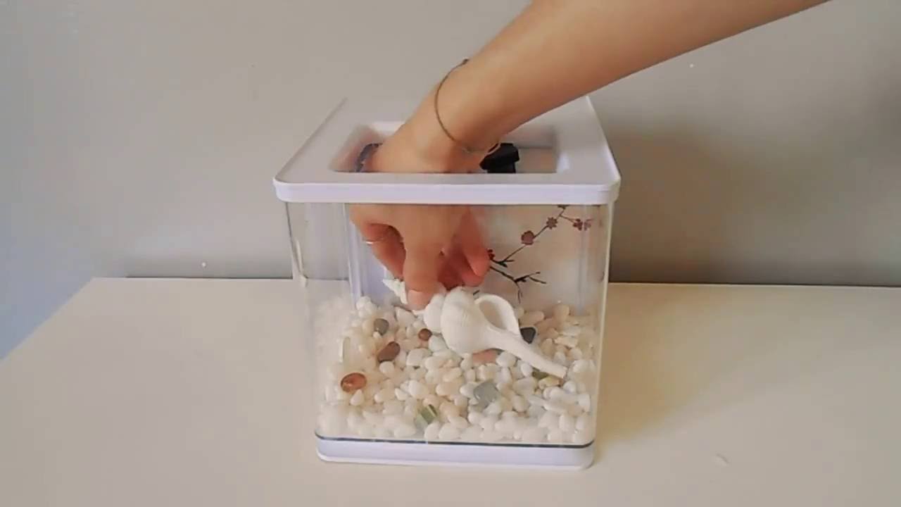 Making a small marimo aquarium - YouTube