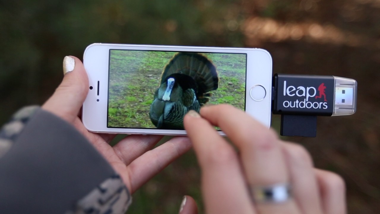 Leap Outdoors Sd Card Reader Trail Camera Viewer - YouTube