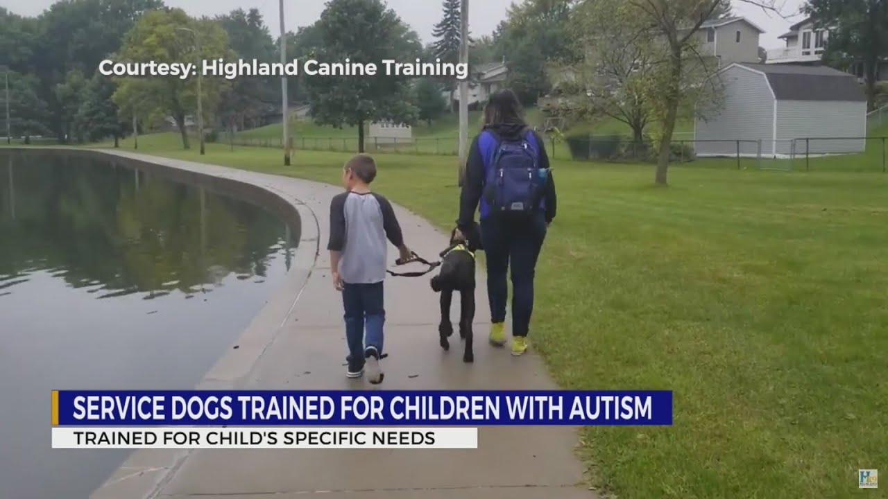 Service dogs trained to help children with autism - YouTube
