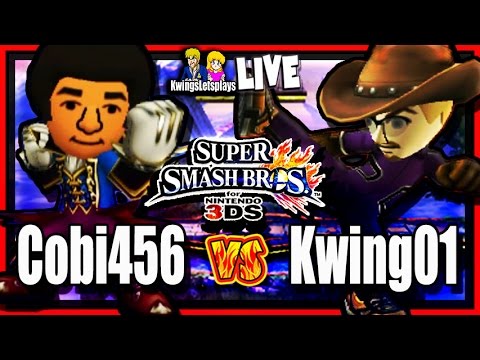 cobanermani456 vs Knightwing (Kwing) Super Smash Bros 3DS Mii Fighter ...