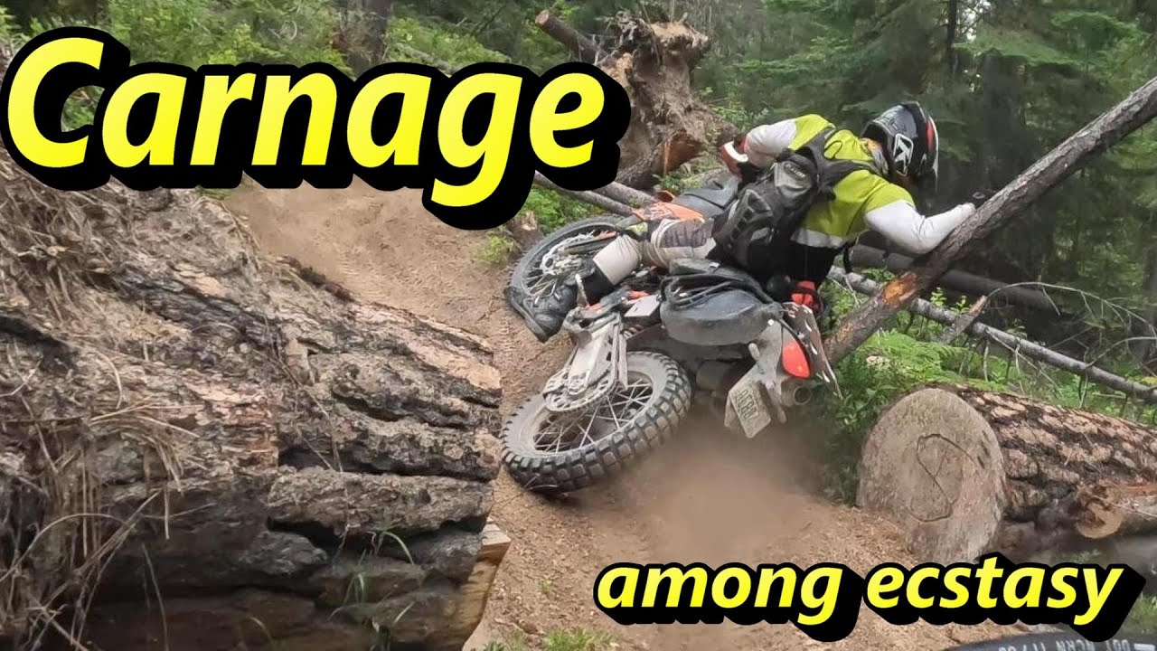 Touratech Rally 2023. Day 2. Carnage and Ecstasy. Good times on an ...