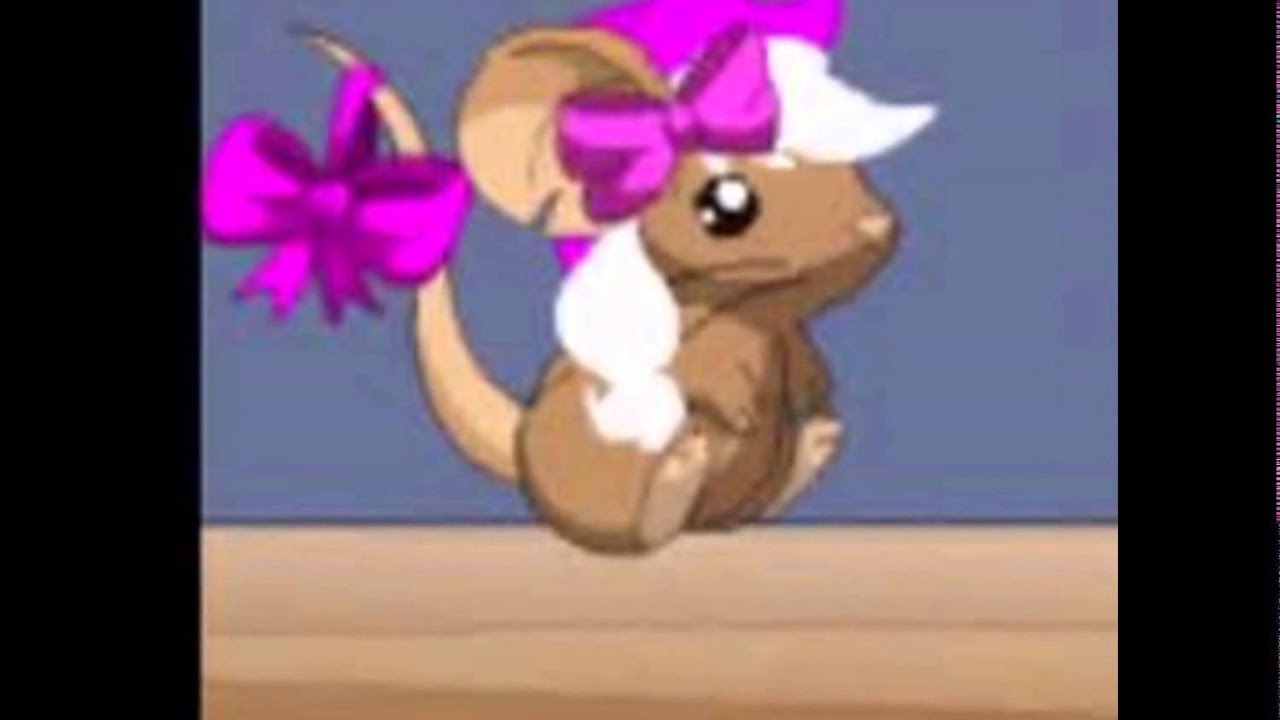 10 melhores visuais do transformice - YouTube