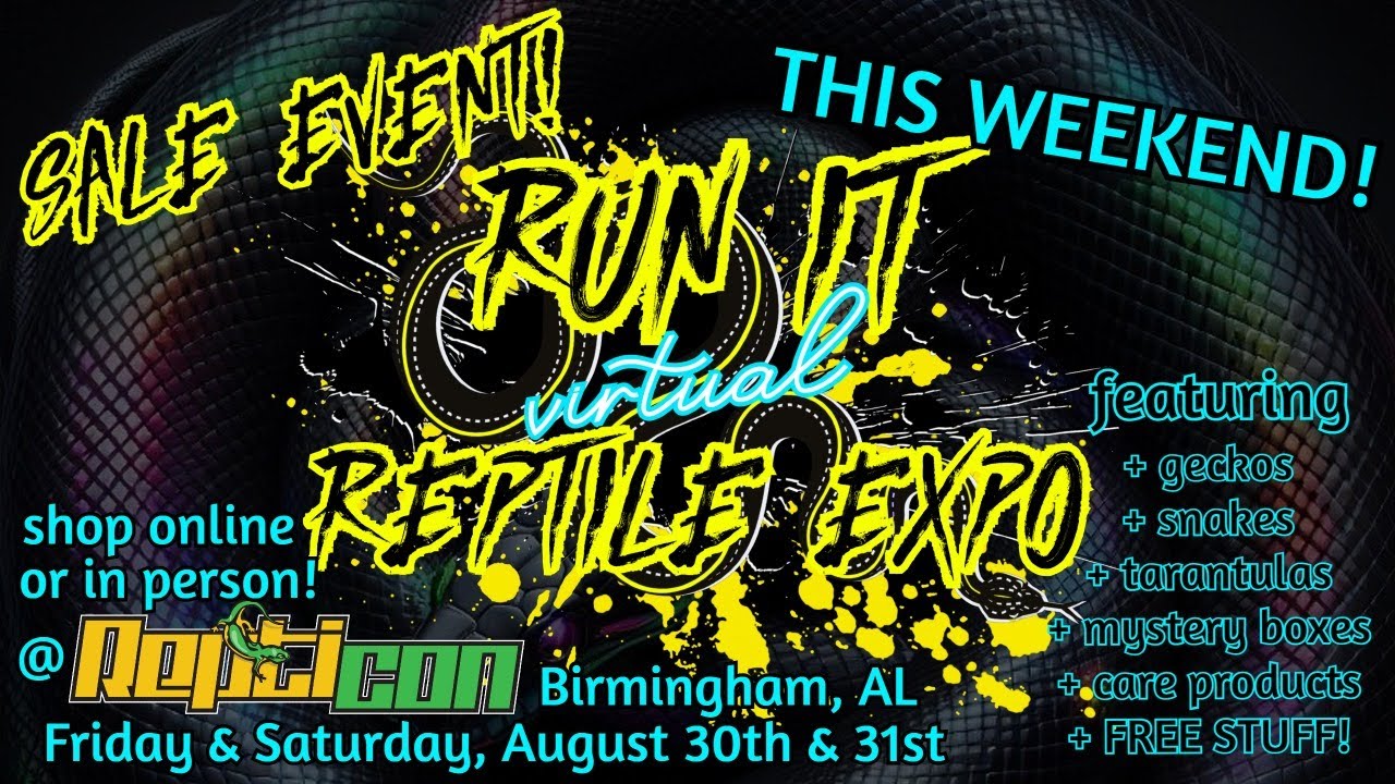 RUN IT Reptile Expo's Birmingham Sale Event Stream 🦎 Live at Repticon ...