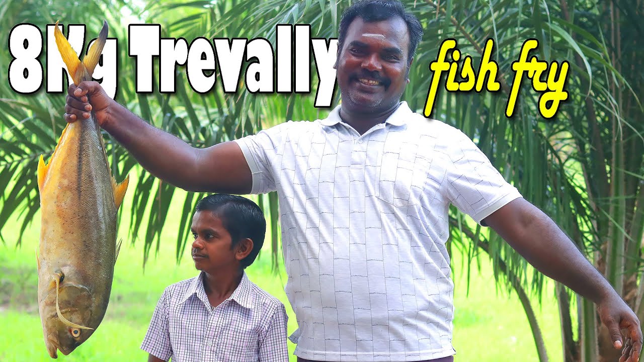 8Kg GIANT பாற மீன்🐠🐋 வறுவல் | Trevally Fish Cutting & Cooking Recipe ...