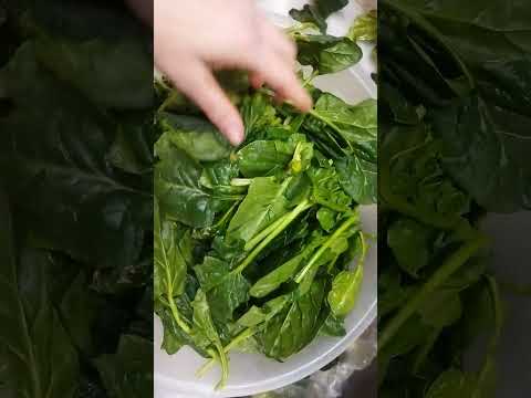 ıspanak kolay nasıl yıkanır, pratik ıspanak yıkama ipuçları