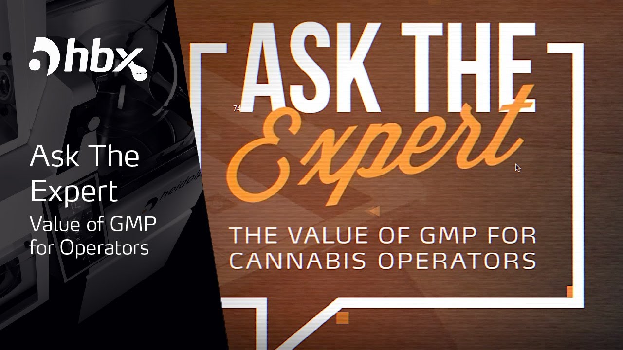 Ask The Expert: Value of GMP for Operators Webinar - YouTube