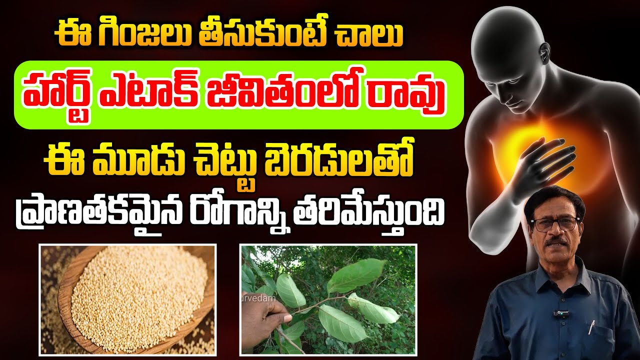 ఈ గింజలతో చాలు హార్ట్ ఎటాక్ జీవితంలో రాదు | #ayurvedamintelugu | Health ...