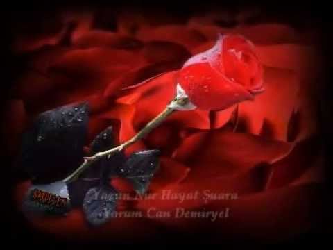 Can Demiryel- Ey Can - Nurhayat Şuara