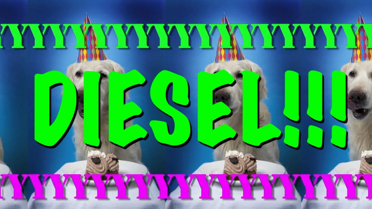 HAPPY BIRTHDAY DIESEL! - EPIC Happy Birthday Song - YouTube