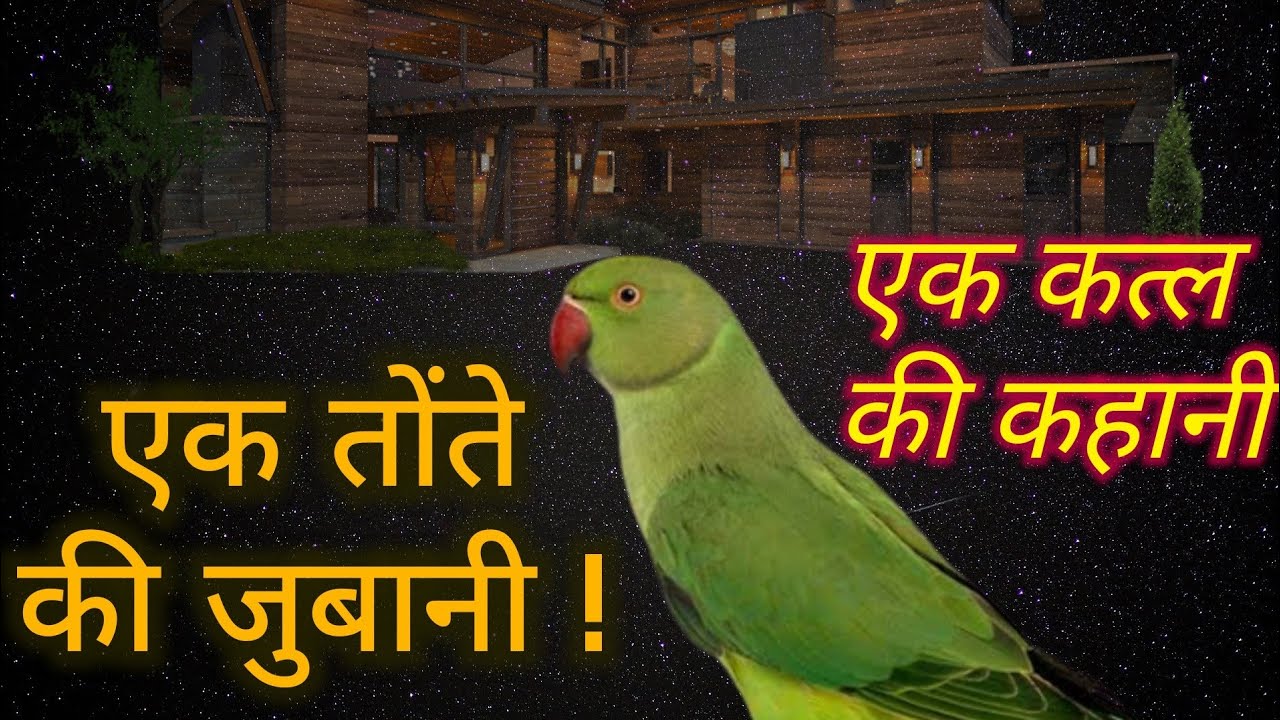 एक कत्ल की कहानी , तोंते की जुबानी || Parrot : Witness of a Murder ...
