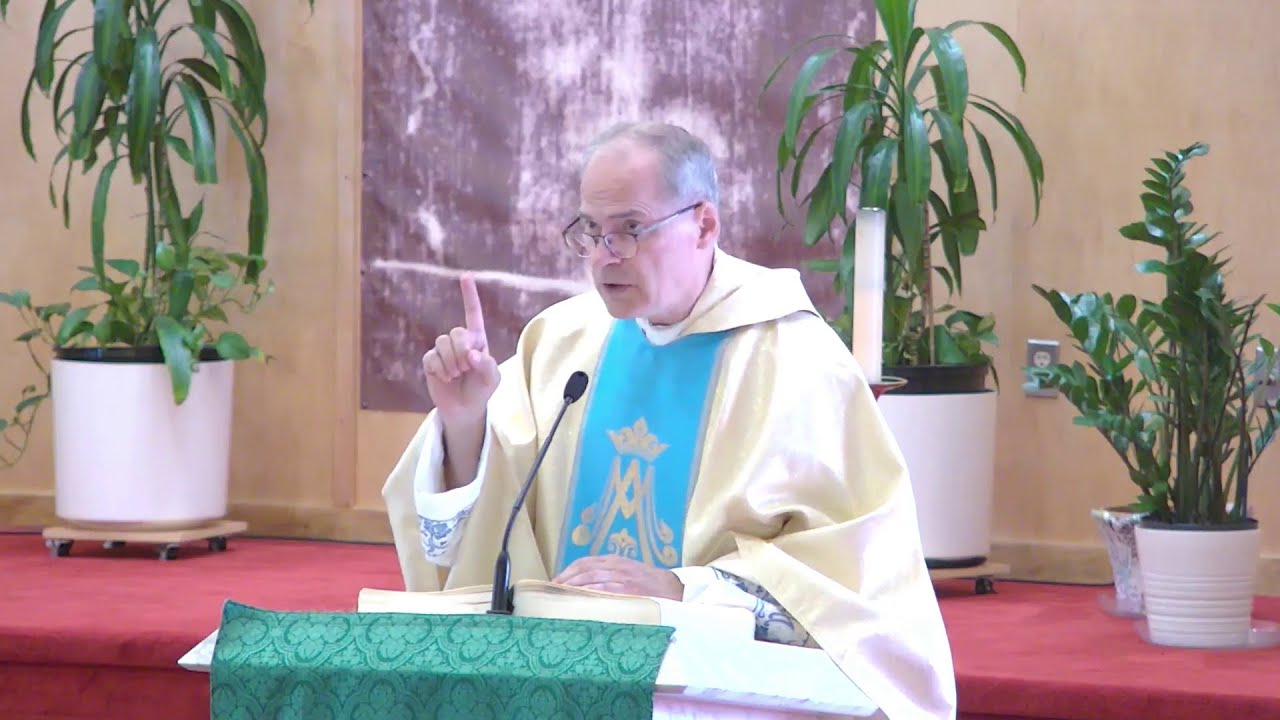 "Why The Queen of Heaven?" | Homily -Thursday, August 22, 2024 - by Fr ...