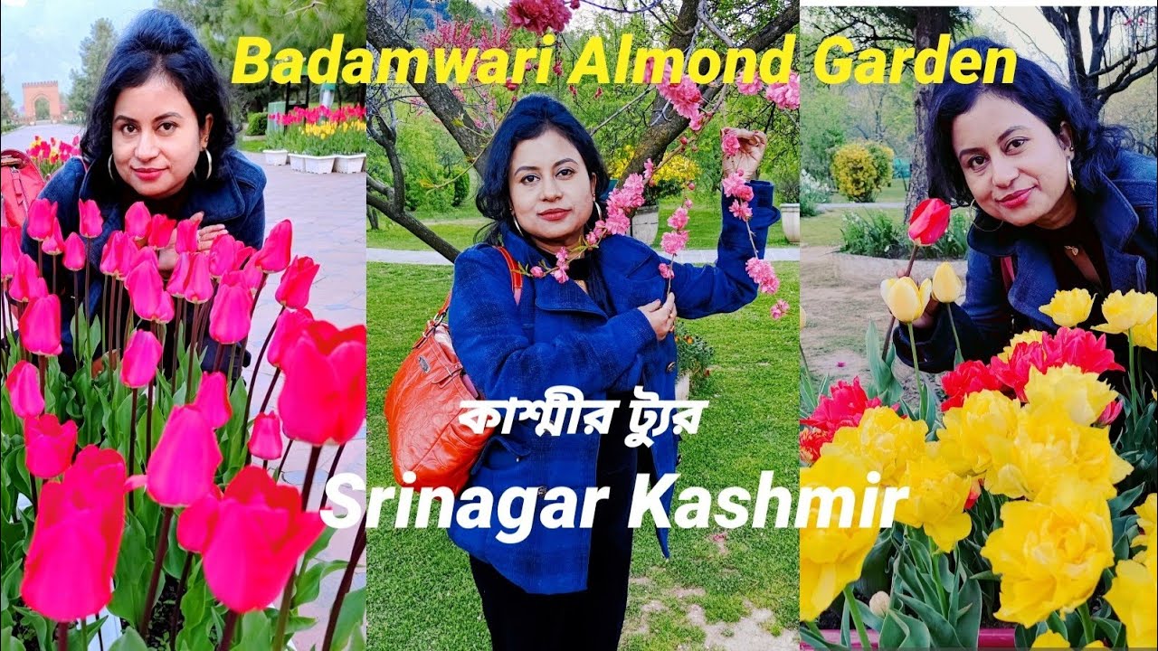 Srinagar BADAMWARI Garden | Tourists Attractions in Kashmir |BADAMWARI ...