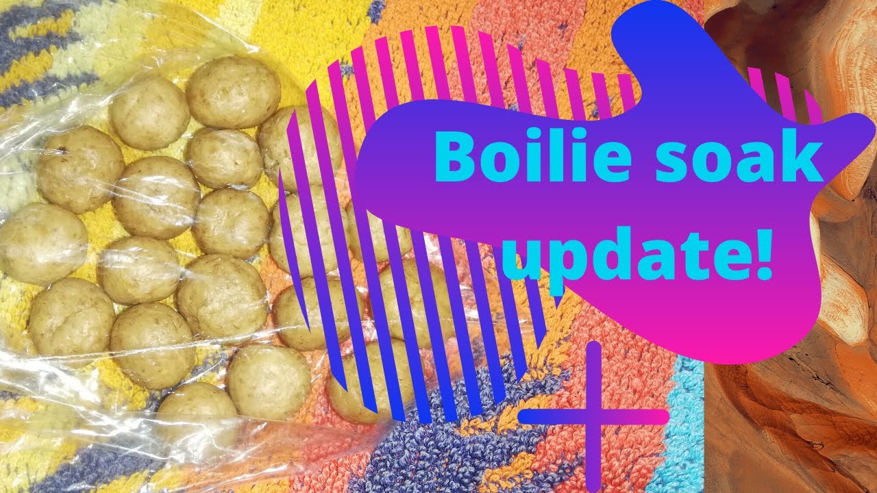 Homemade Boilie Soak Update - CarpFishing.Tips - YouTube