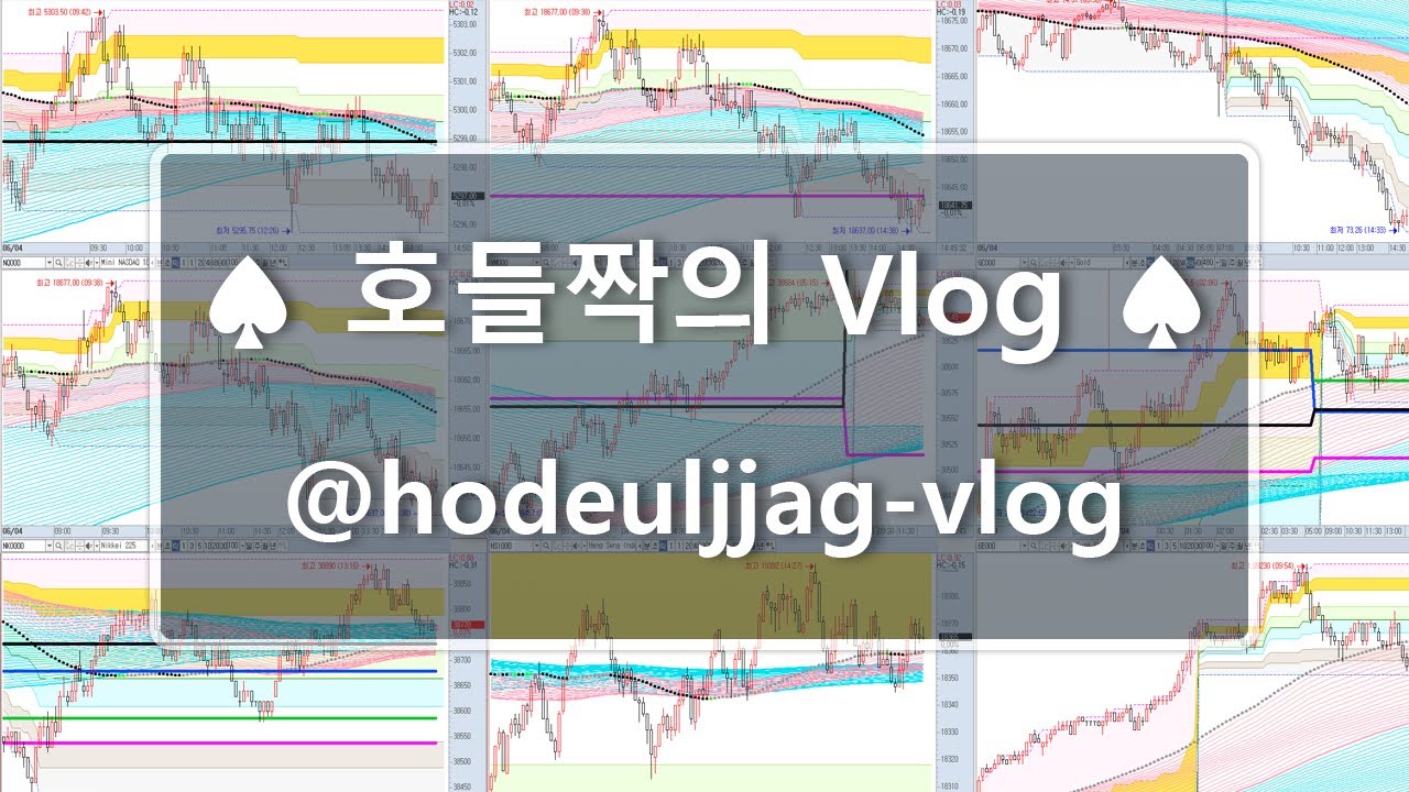 [ 호들짝의 Vlog 11/ 08/ 24 ] 항생 요약 - 해외선물 - YouTube