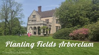 Exploring Planting Fields Arboretum | Oyster Bay NY