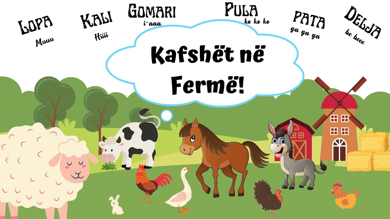 Kënge dhe Vjersha Shqiptare për fëmijë - Video Edukative - Lopa, Macja ...