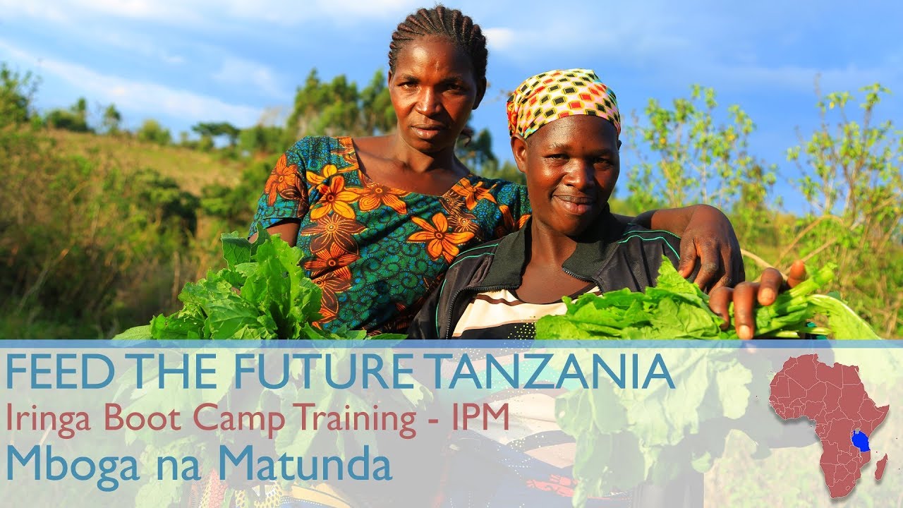 FEED THE FUTURE MBOGA NA MATUNDA - YouTube