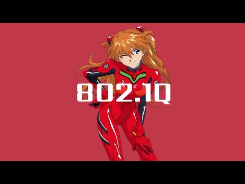 VLAN протокол (802.1Q, 802.1ad) - спасибо, папаша! Сети для умственно ...