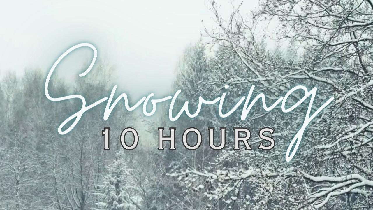 Snow Storm Over Woodlands | 10 Hours | Relaxing Snowstorm | Beautiful ...