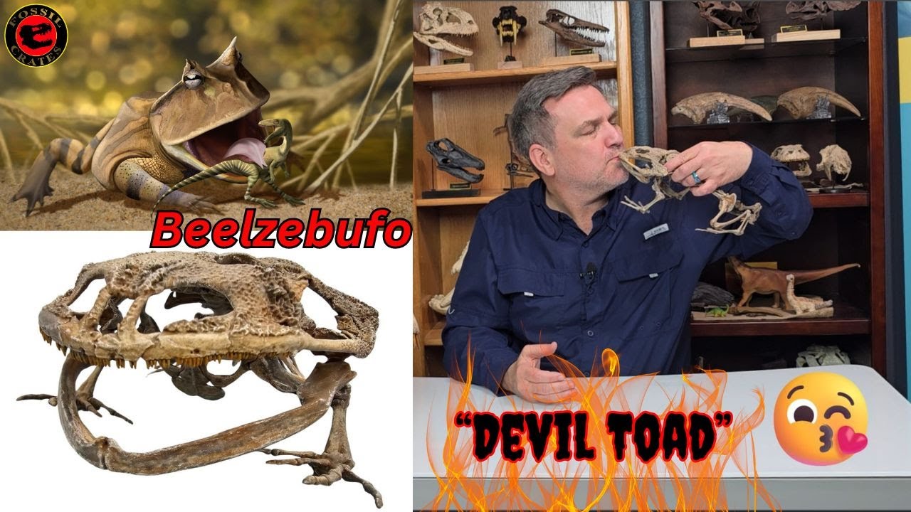Beelzebufo: The Deadliest Frog In The World Eats Dinosaurs? - YouTube
