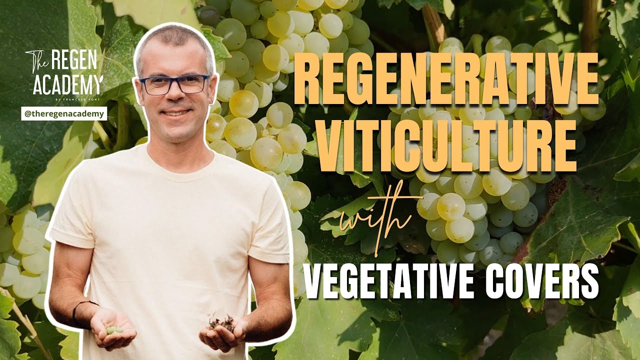 Regenerative viticulture with vegetative covers - YouTube