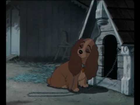 La Belle et le Clochard scène - YouTube