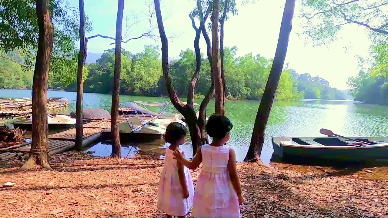 Kottoor Kappukadu Elephant Rehabilitation Centre - Kottoor Ecotourism ...