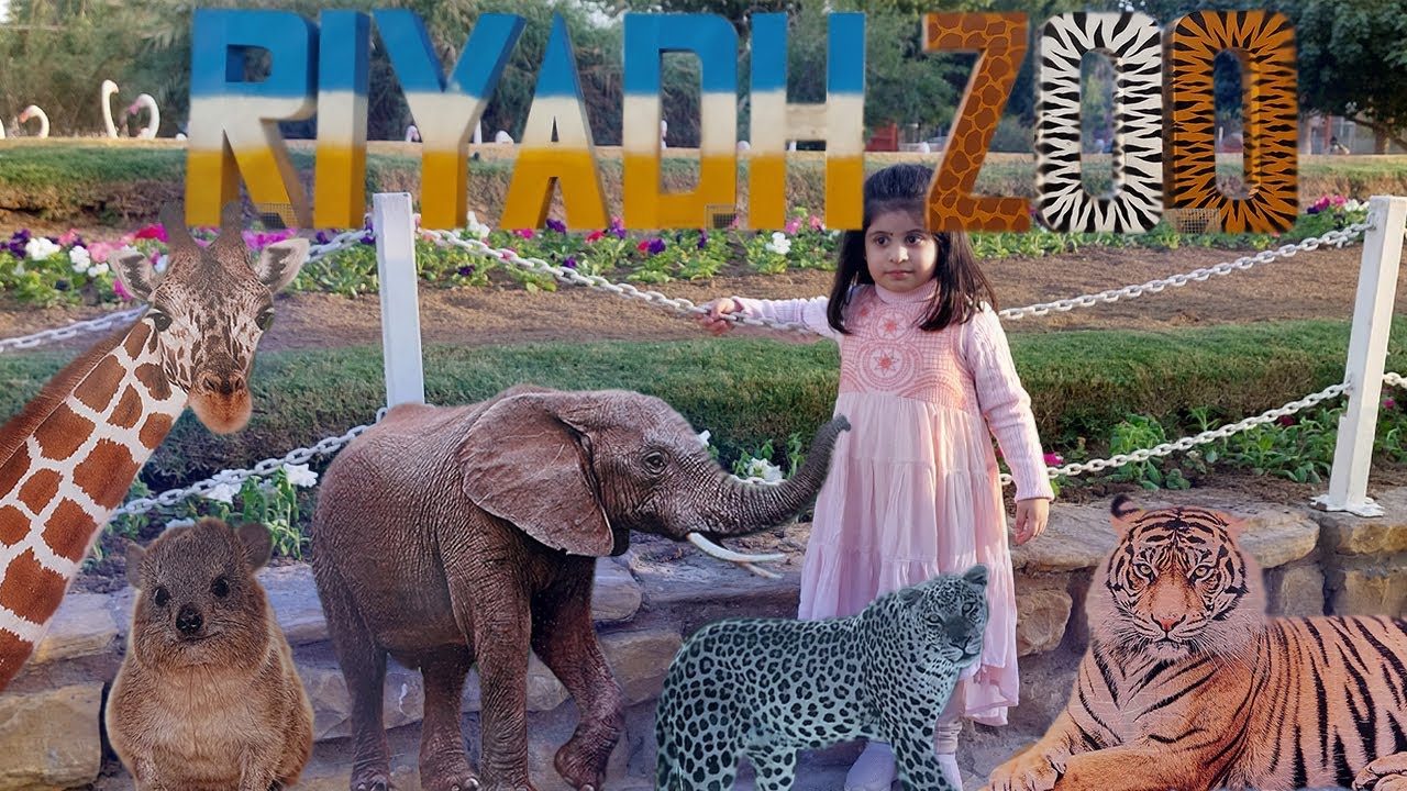 Riyadh Zoo Malaz , Saudi Arabia - YouTube