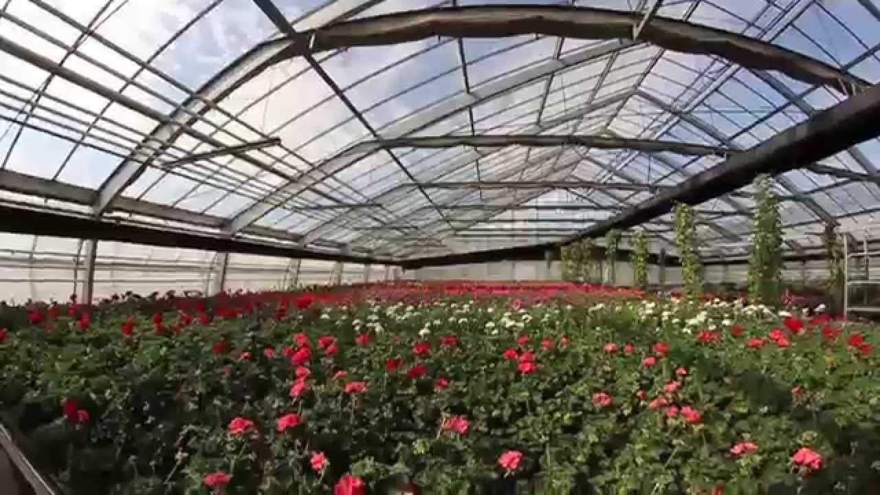 André Pittet - Production Horticole - La Sarraz - YouTube