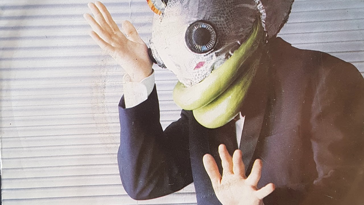 Mr. Fish - The Hunt - YouTube