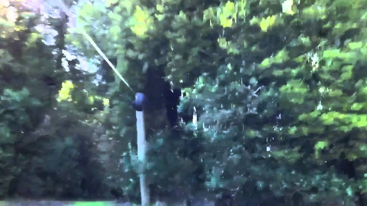 Flying Fox at Tui Ridge - YouTube