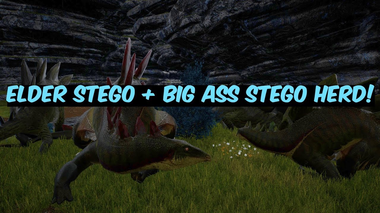ELDER STEGO + BIG ASS STEGO HERD! Part 2 | Rogue.Realism: The Isle ...