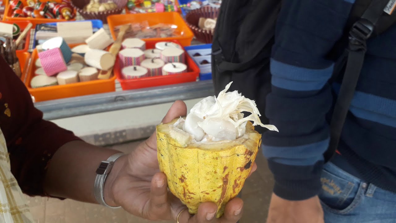 Coca fruit Cutting and Eating in Munnar,Munnar City Coca Fruit Cutting ...