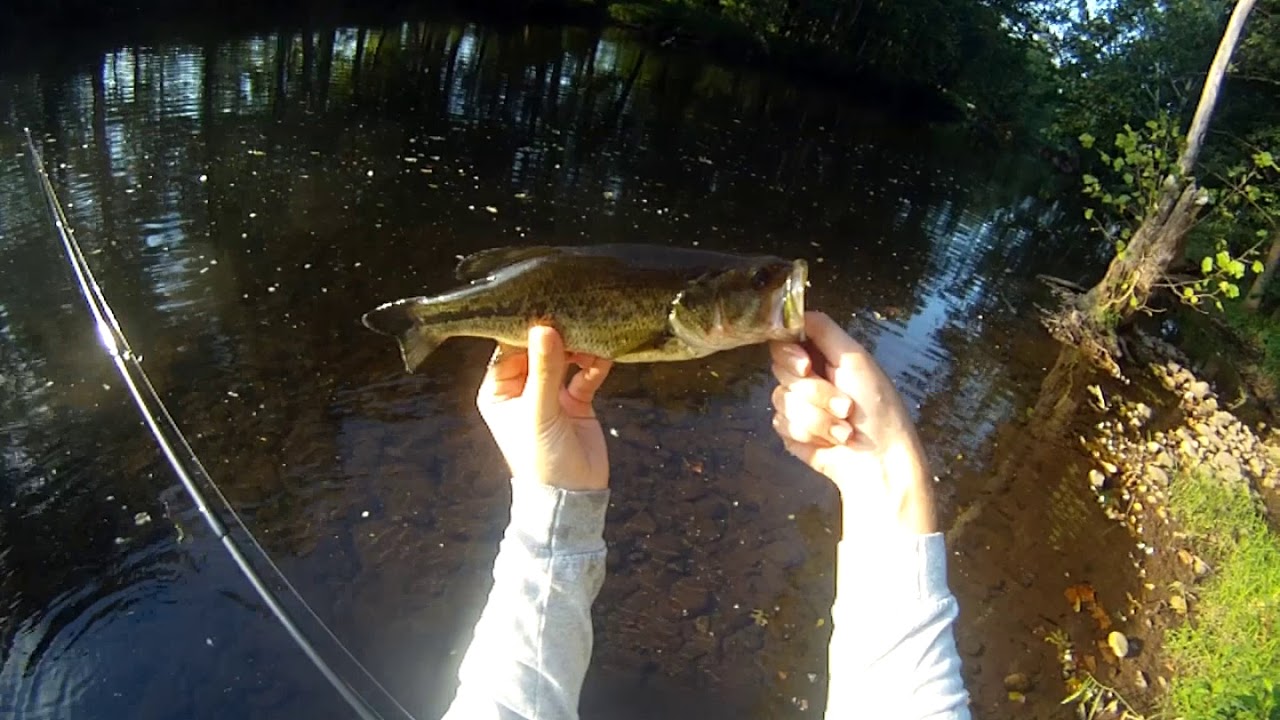 Bass fishing the Upper North Branch Raritan River - YouTube